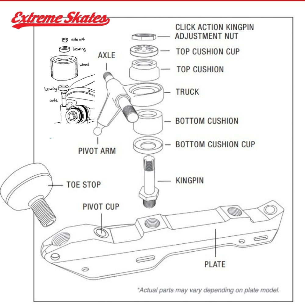 Anatomy of a Roller Skate – Extreme Skates Taringa